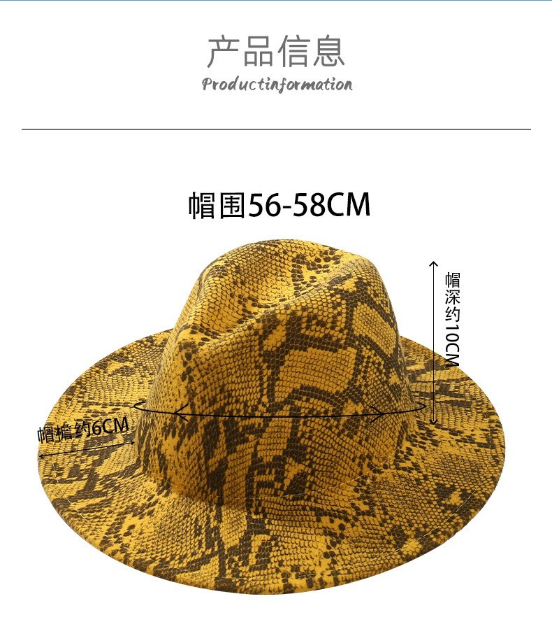 TRENDY SNAKE PRINT FEDORA HAT HAT002 > Boutique Handbags > Mezon Handbags